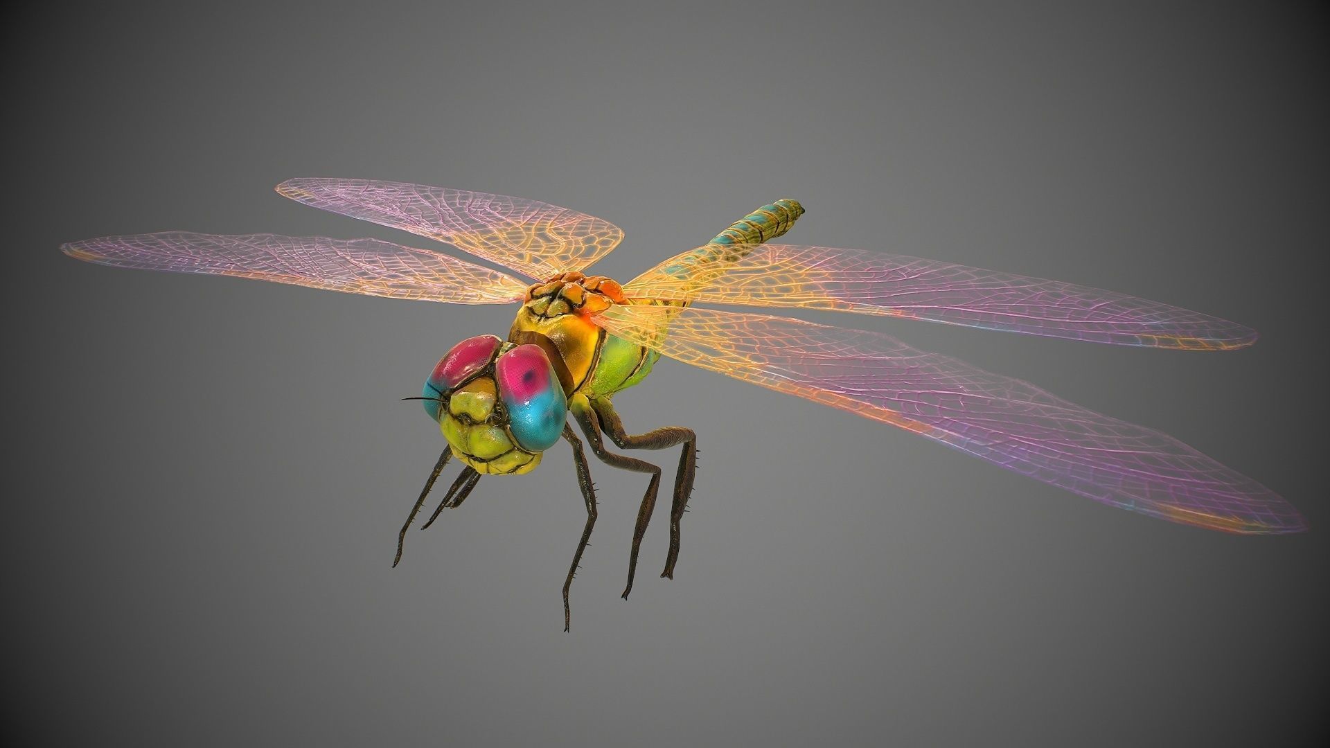 3D model Low poly detailed colorful dragonfly rigged model VR / AR ...