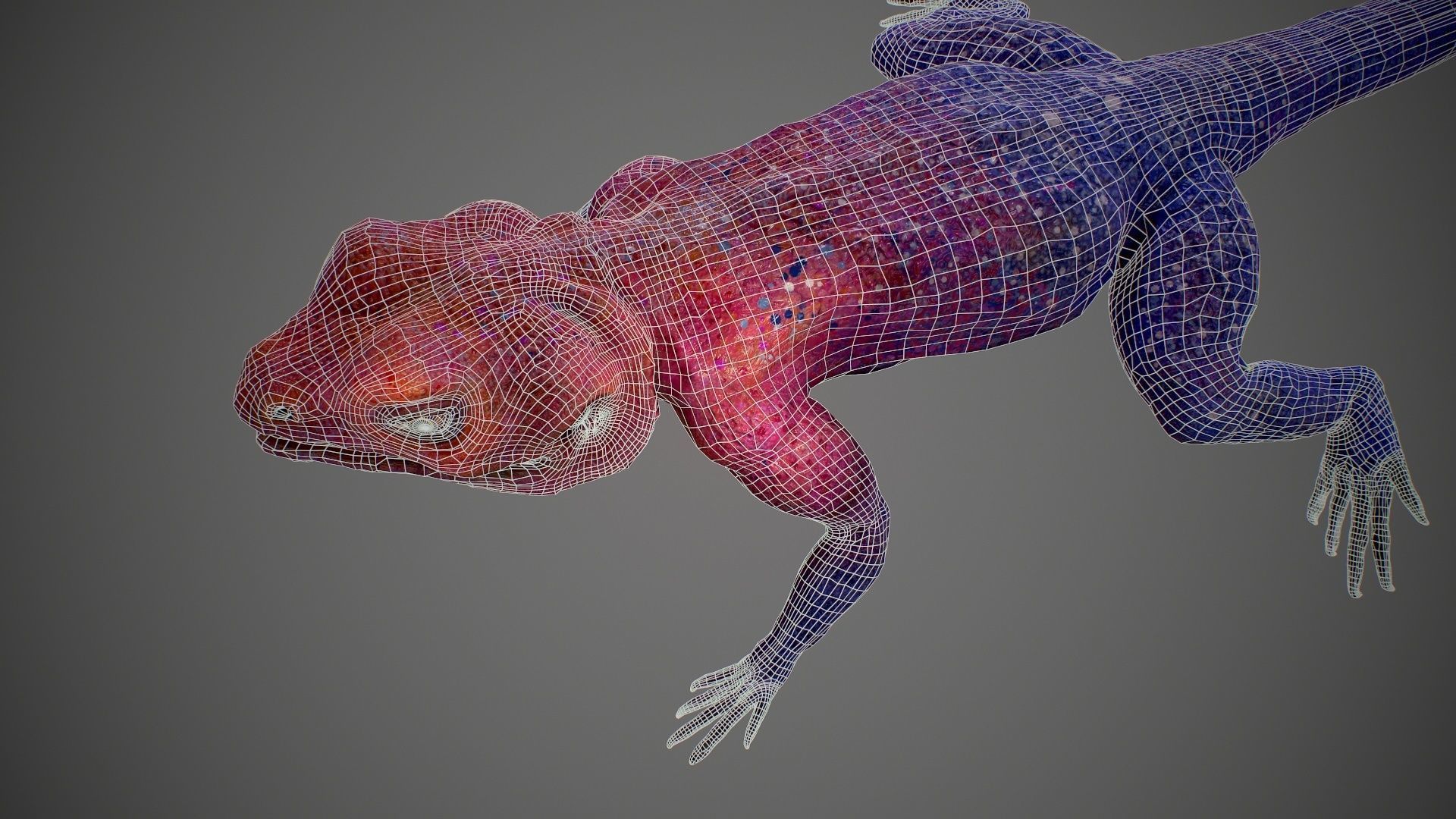 3D model Low poly detailed agama mwanzae rigged model VR / AR / low ...