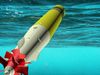 MK 46 LIGHTWEIGHT TORPEDO 3D model | CGTrader