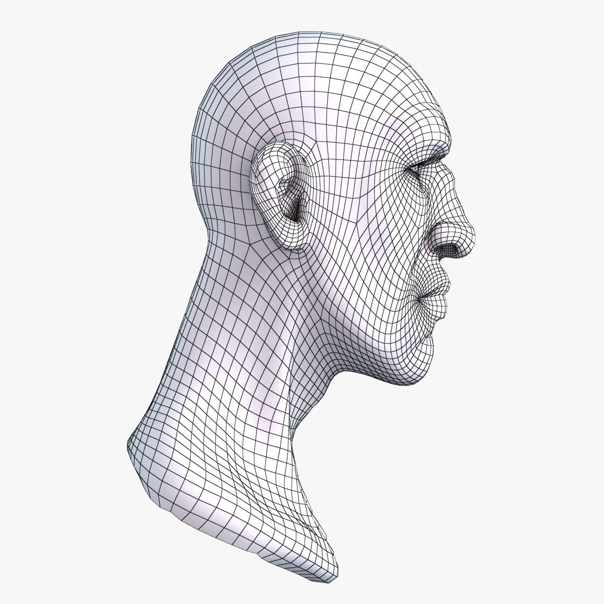 The Male Head free 3D model | CGTrader