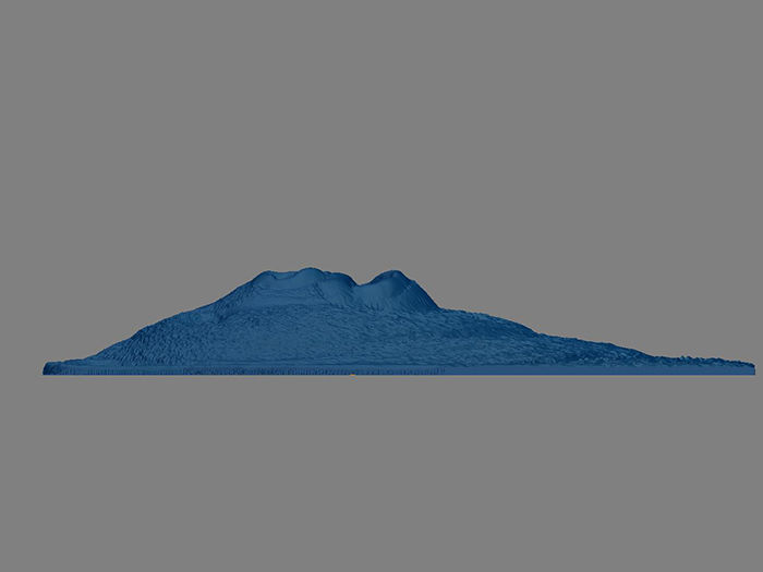 Grizzly Bear bas relief model 3D model 3D printable | CGTrader