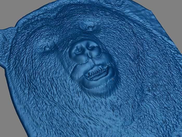 Grizzly Bear bas relief model 3D model 3D printable | CGTrader
