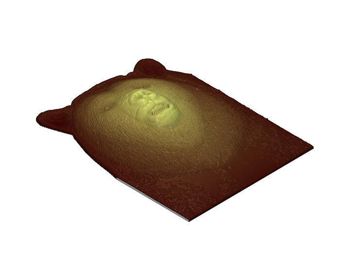 Grizzly Bear bas relief model 3D model 3D printable | CGTrader