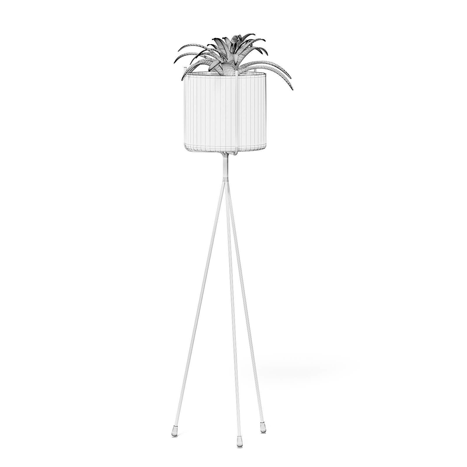 Plant on Tall Rack 3D Model 3D model | CGTrader
