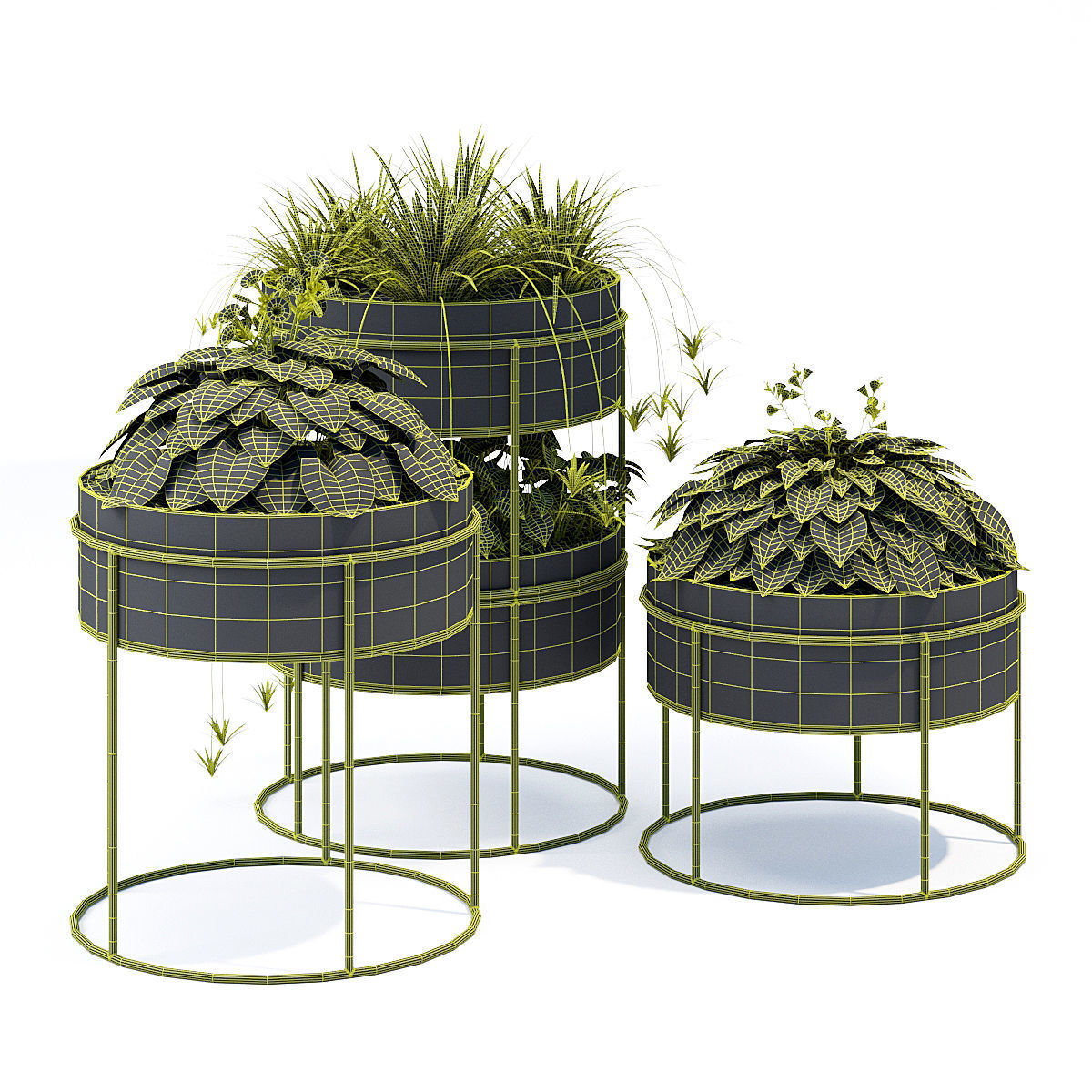 Echo round 3D model | CGTrader