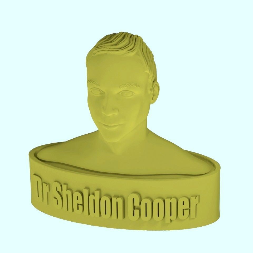 Sheldon Cooper 3D model 3D printable | CGTrader