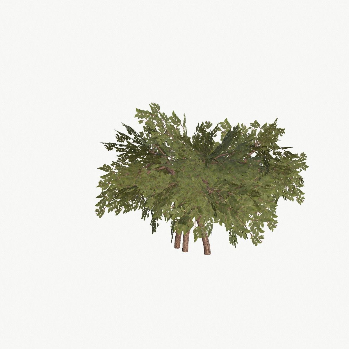 3D model Bush Type 3 VR / AR / low-poly | CGTrader