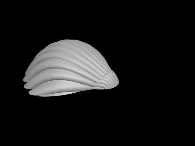 shell from the beach easy to print 3D model 3D printable | CGTrader