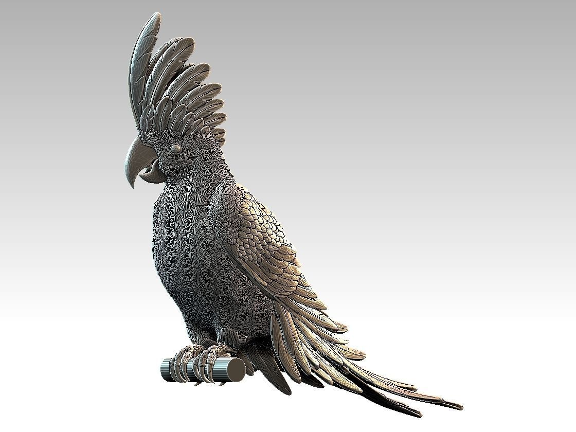 parrot cacadu 3D model 3D printable | CGTrader