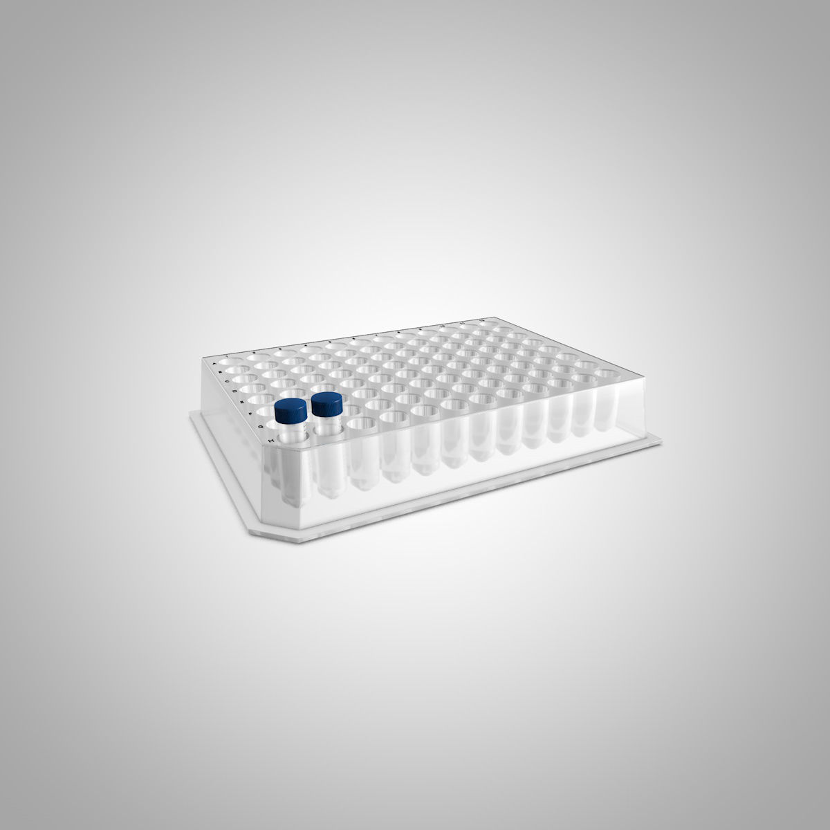 Well Plate 3D model | CGTrader