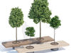 Victor three trees on wooden bench 3D model | CGTrader