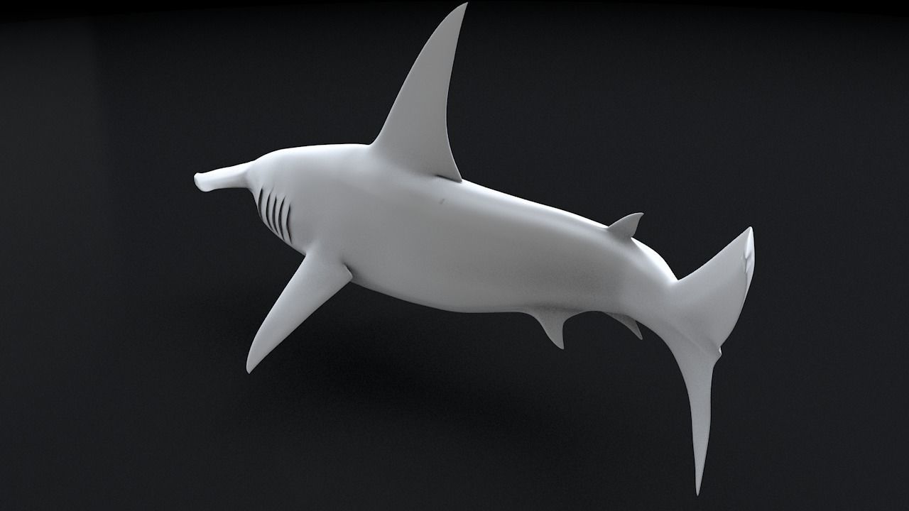 Great Hammerhead 3D Printable Model 3D model 3D printable | CGTrader