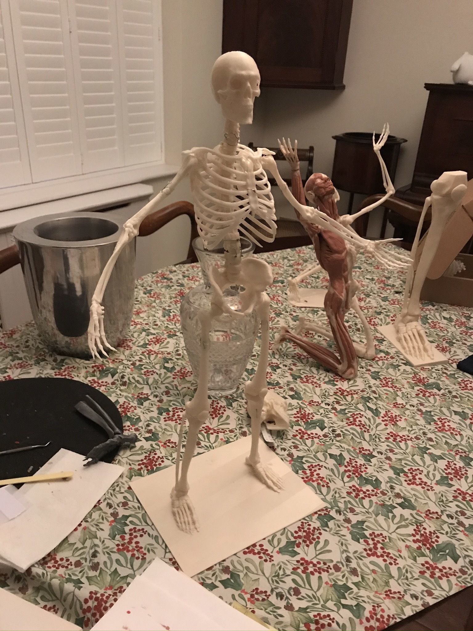 Male and Female Skeleton poseable 3D model 3D printable | CGTrader