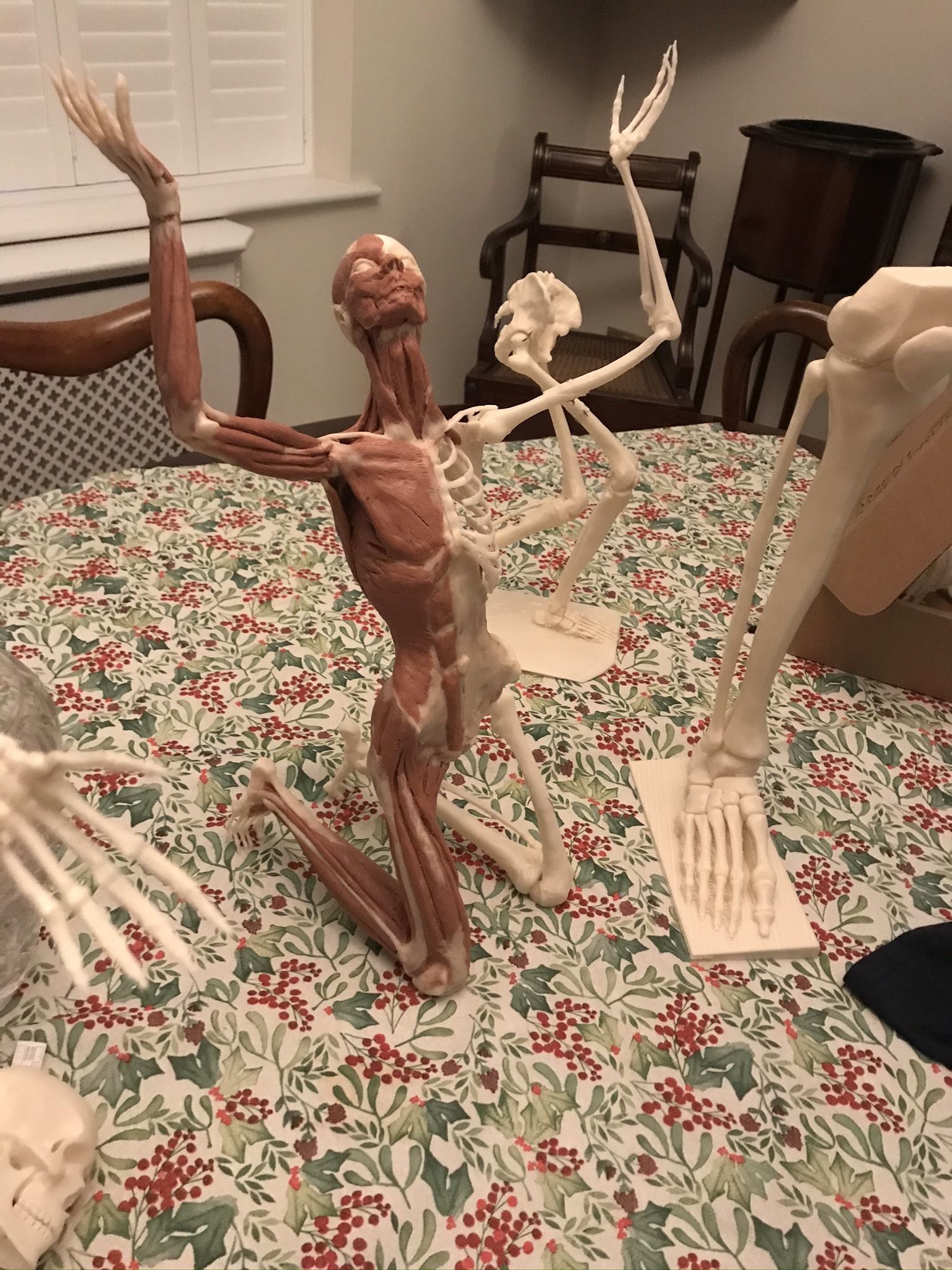 Male and Female Skeleton poseable 3D model 3D printable | CGTrader