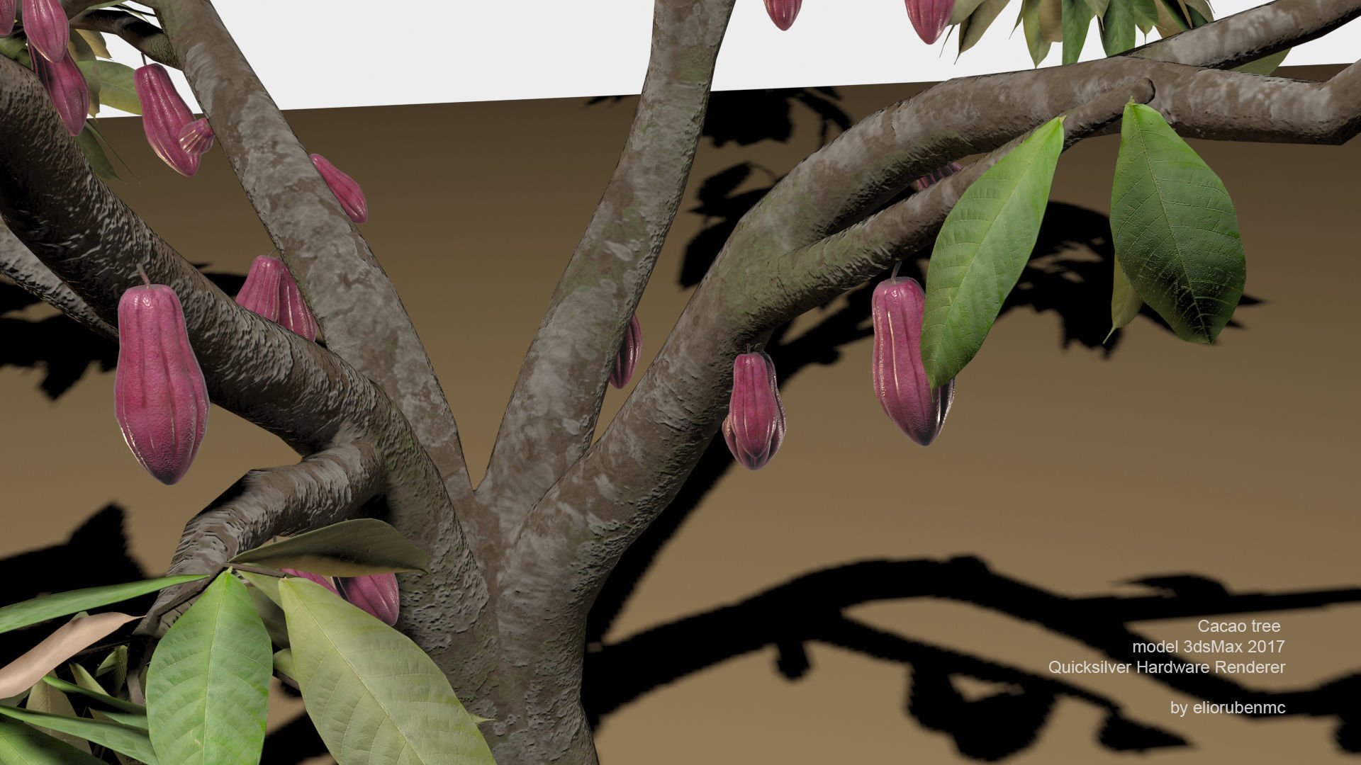 Cacao Tree type CCN51 with Fruit 3D model | CGTrader