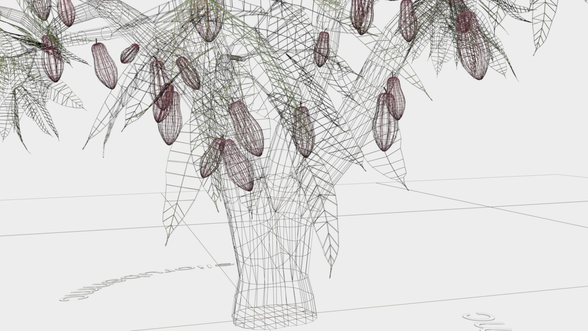 Cacao Tree type CCN51 with Fruit 3D model | CGTrader