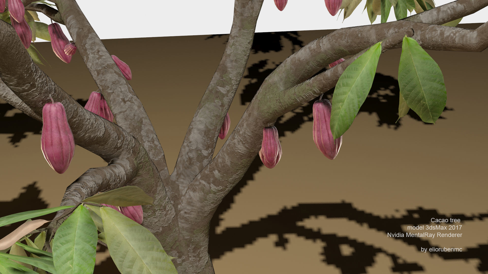 Cacao Tree type CCN51 with Fruit 3D model | CGTrader