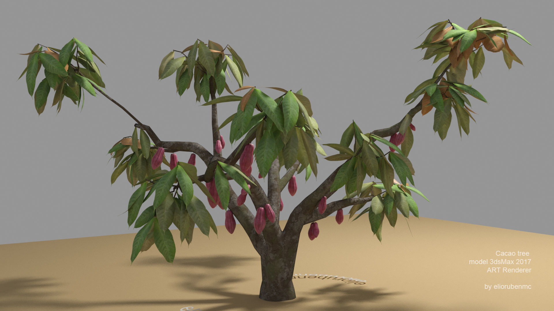 Cacao Tree type CCN51 with Fruit 3D model | CGTrader