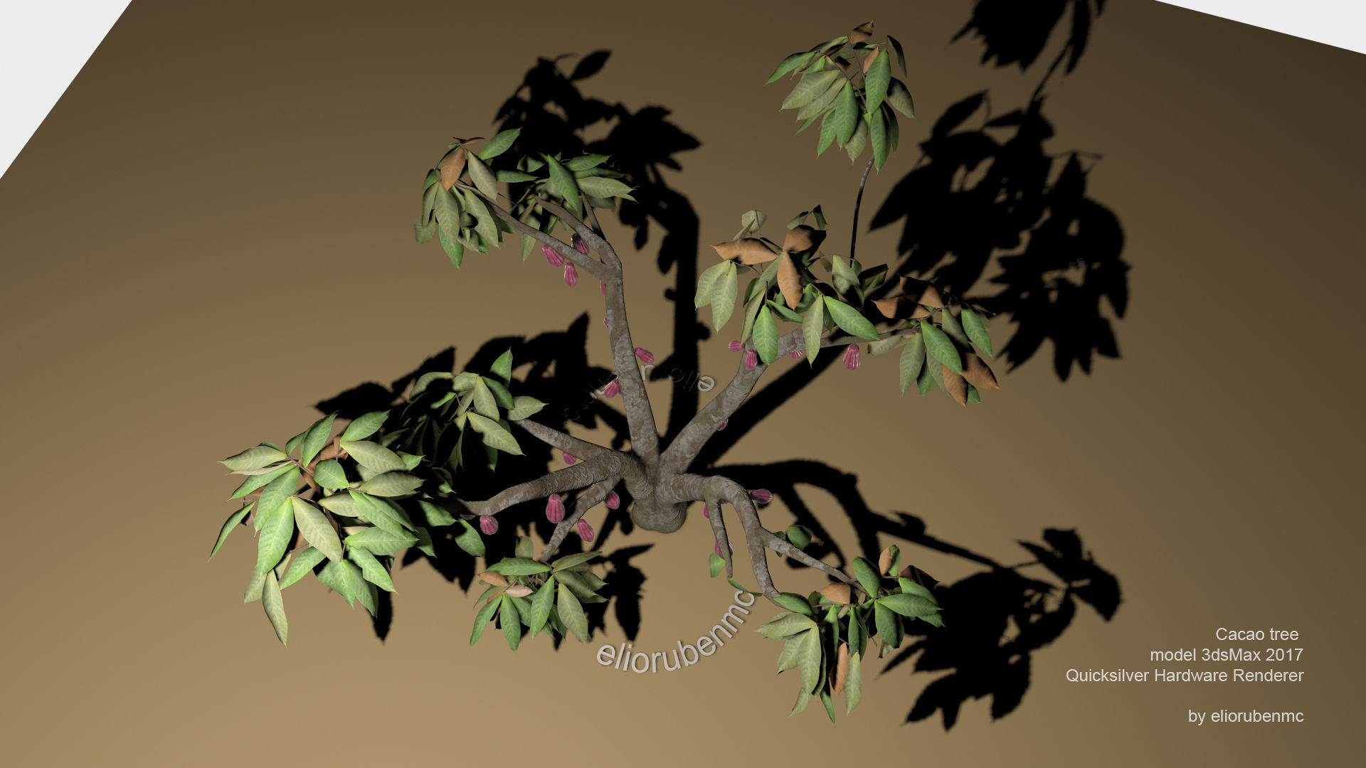 Cacao Tree type CCN51 with Fruit 3D model | CGTrader