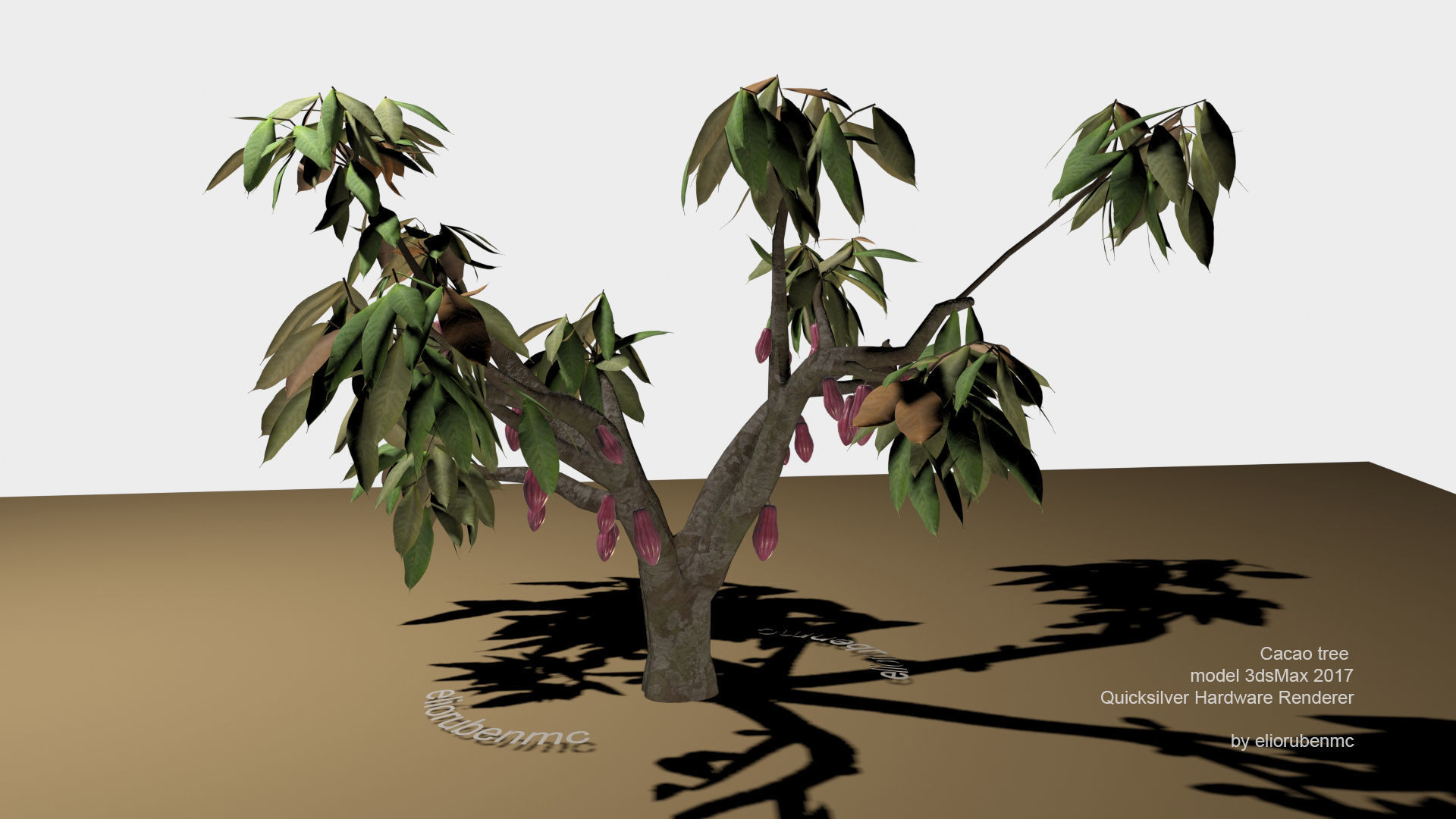 Cacao Tree type CCN51 with Fruit 3D model | CGTrader