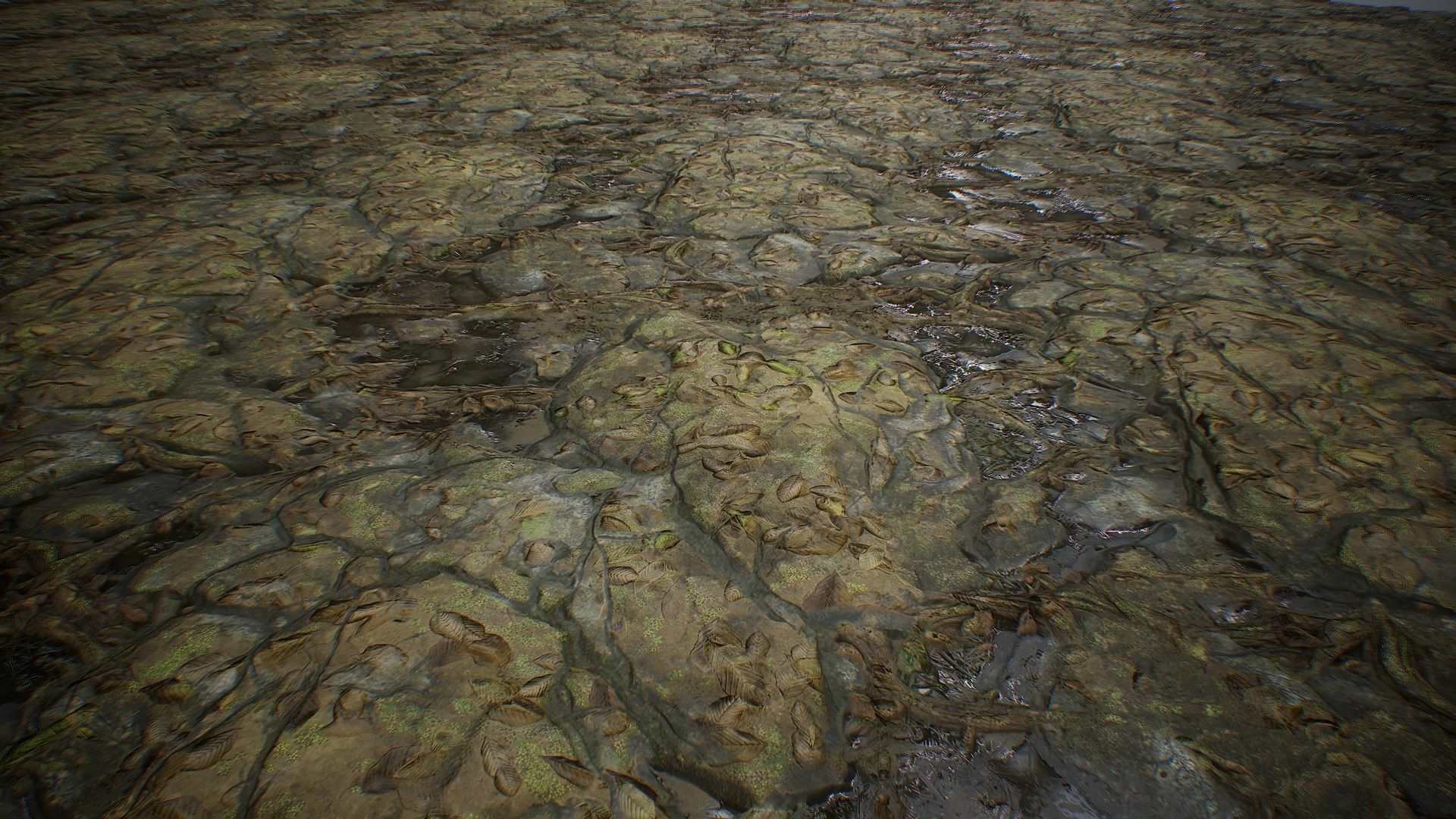 Texture Ultimate Texture Library - Jungle VR / AR / low-poly | CGTrader