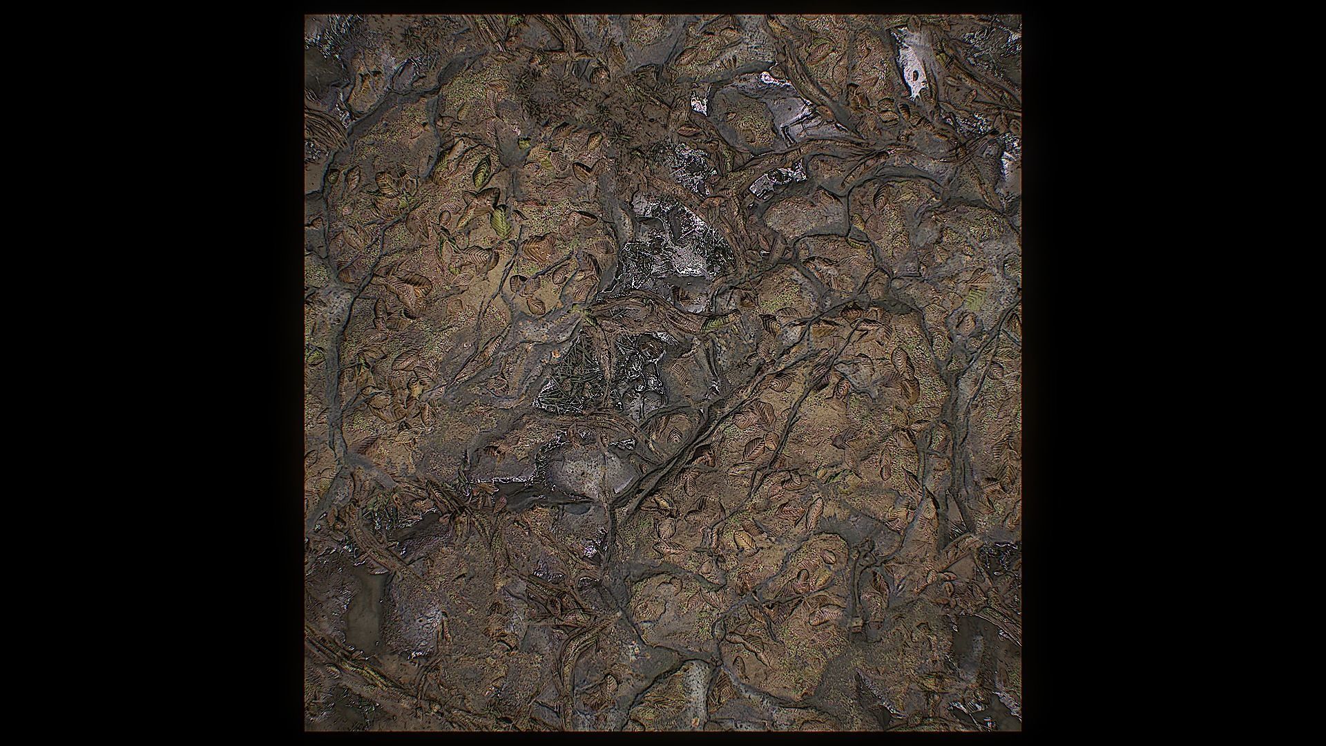Texture Ultimate Texture Library - Jungle VR / AR / low-poly | CGTrader