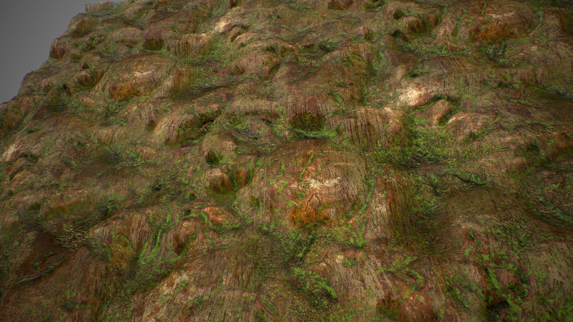 Texture PBR seamless jungle rock textures VR / AR / low-poly | CGTrader