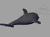 3D model Rig Dolphin VR / AR / low-poly | CGTrader