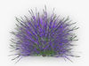 3D model Lavender Bush VR / AR / low-poly | CGTrader