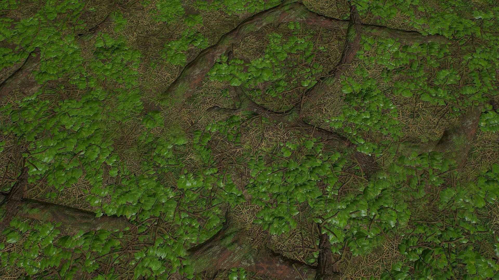 Texture PBR tileable detailed forest ground textures VR / AR / low-poly ...
