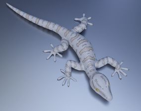 Gecko 3D Models | CGTrader