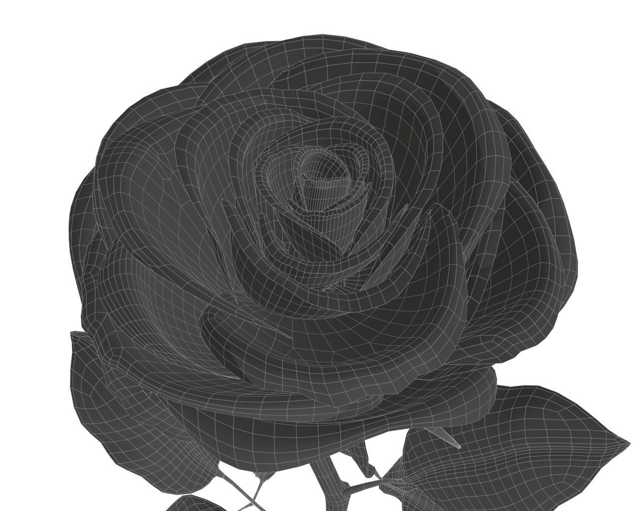 Single beautiful red rose 3D model | CGTrader