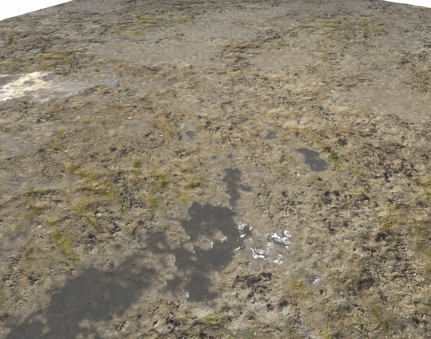 Muddy Soil Seamless PBR Texture Texture | CGTrader