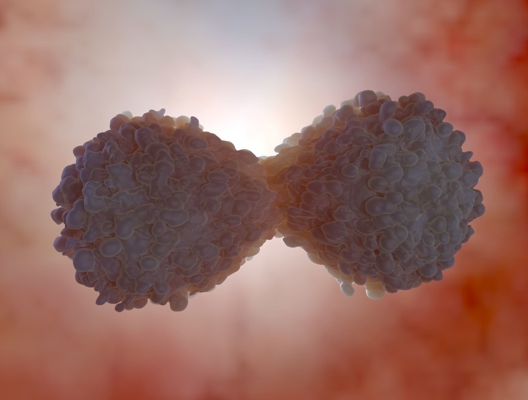 cancer cell division 3D model | CGTrader