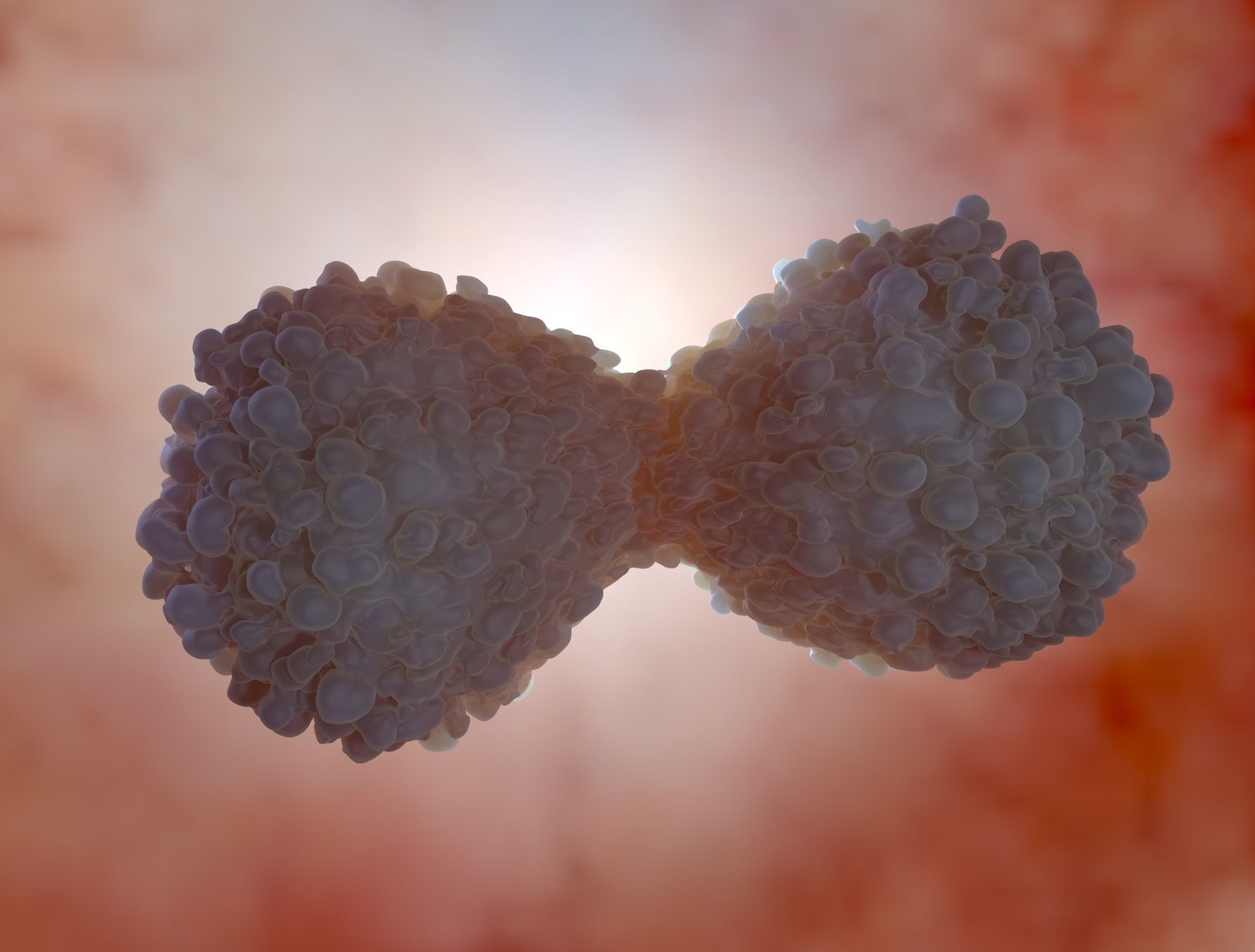 cancer cell division 3D model | CGTrader