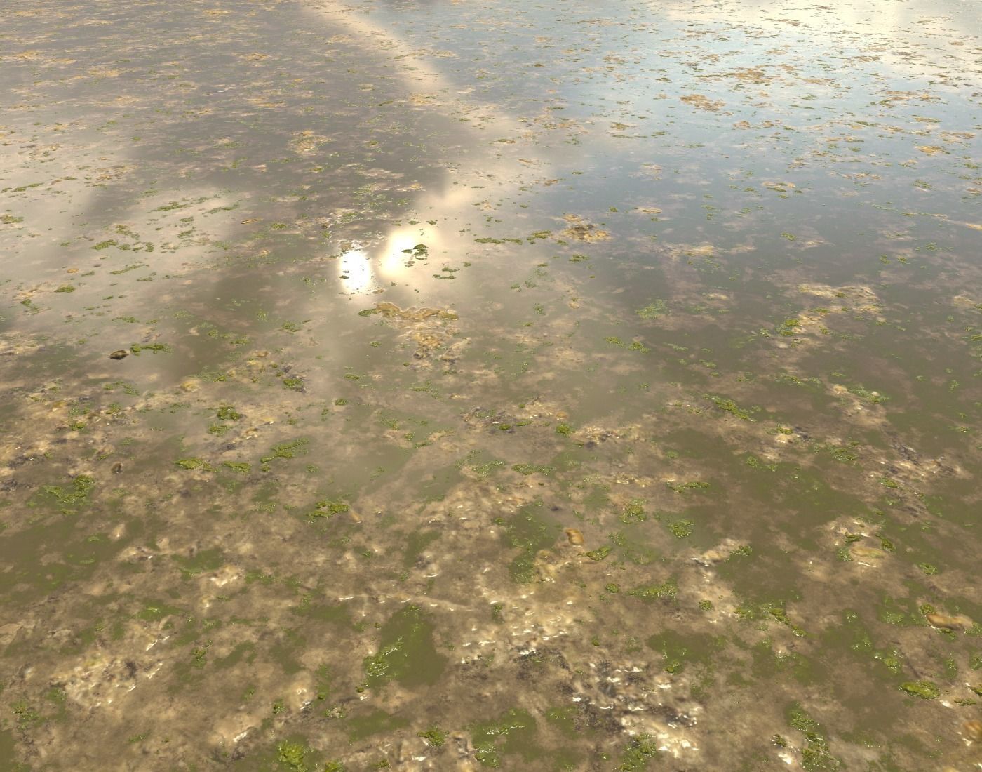 Muddy Water with algae Seamless PBR Texture Texture | CGTrader