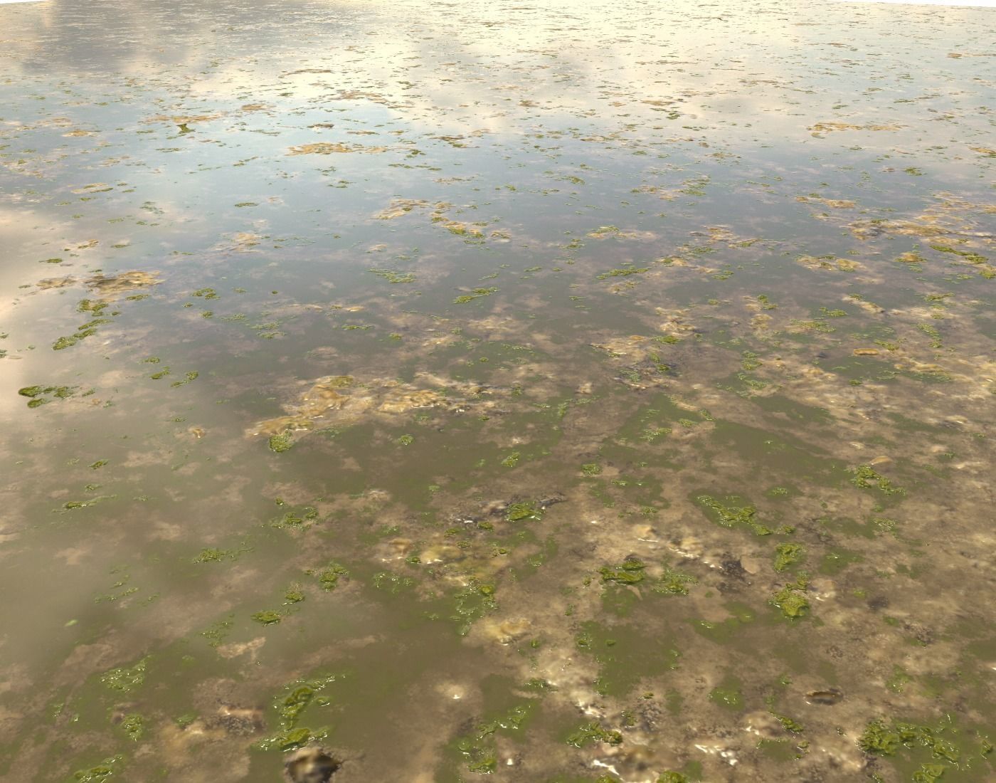 Muddy Water with algae Seamless PBR Texture Texture | CGTrader