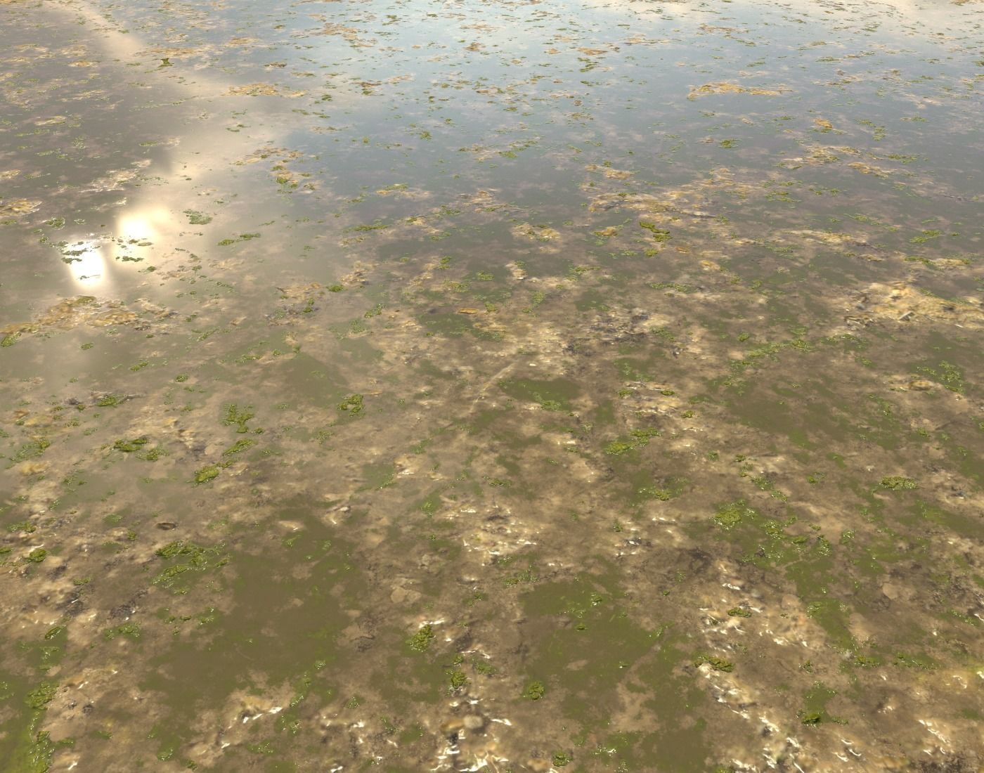 Muddy Water with algae Seamless PBR Texture Texture | CGTrader