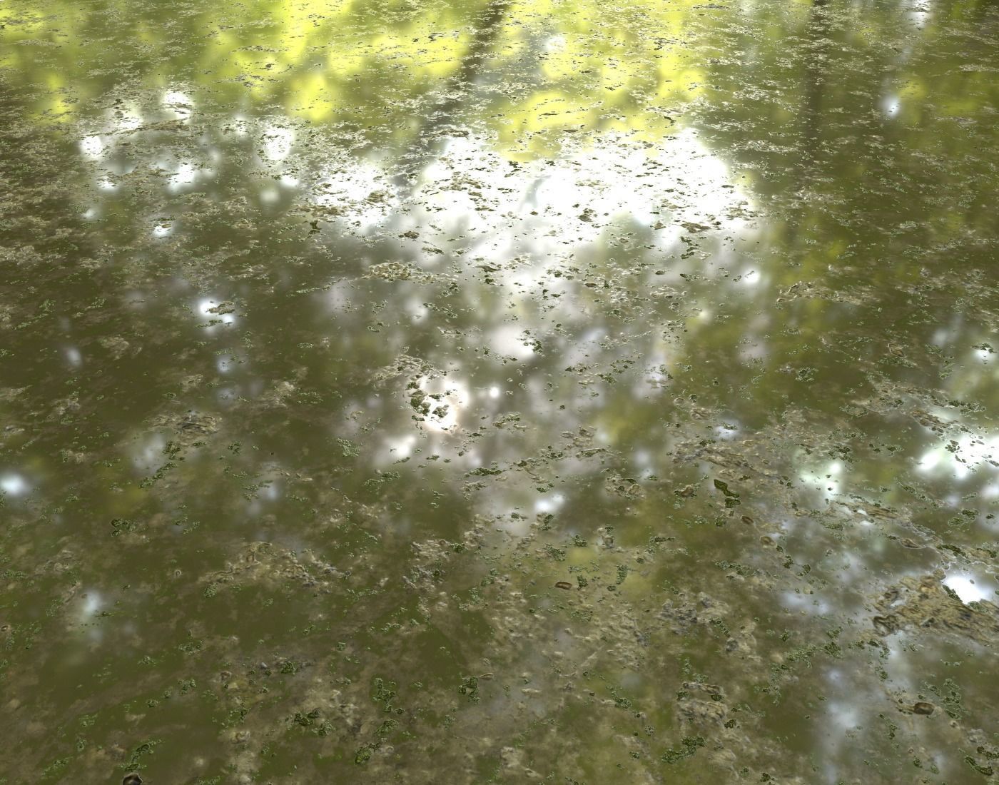 Muddy Water with algae Seamless PBR Texture Texture | CGTrader