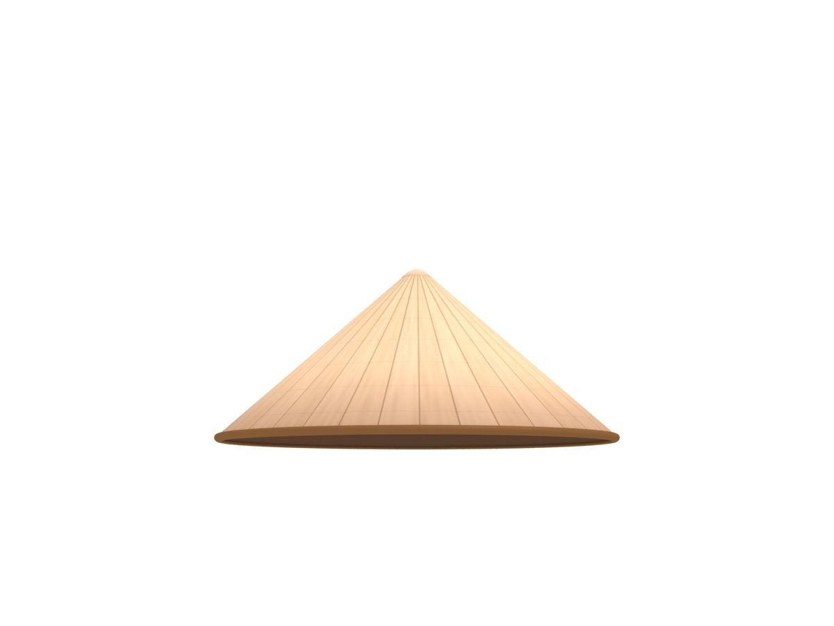 3D model Conical Hat VR / AR / low-poly | CGTrader