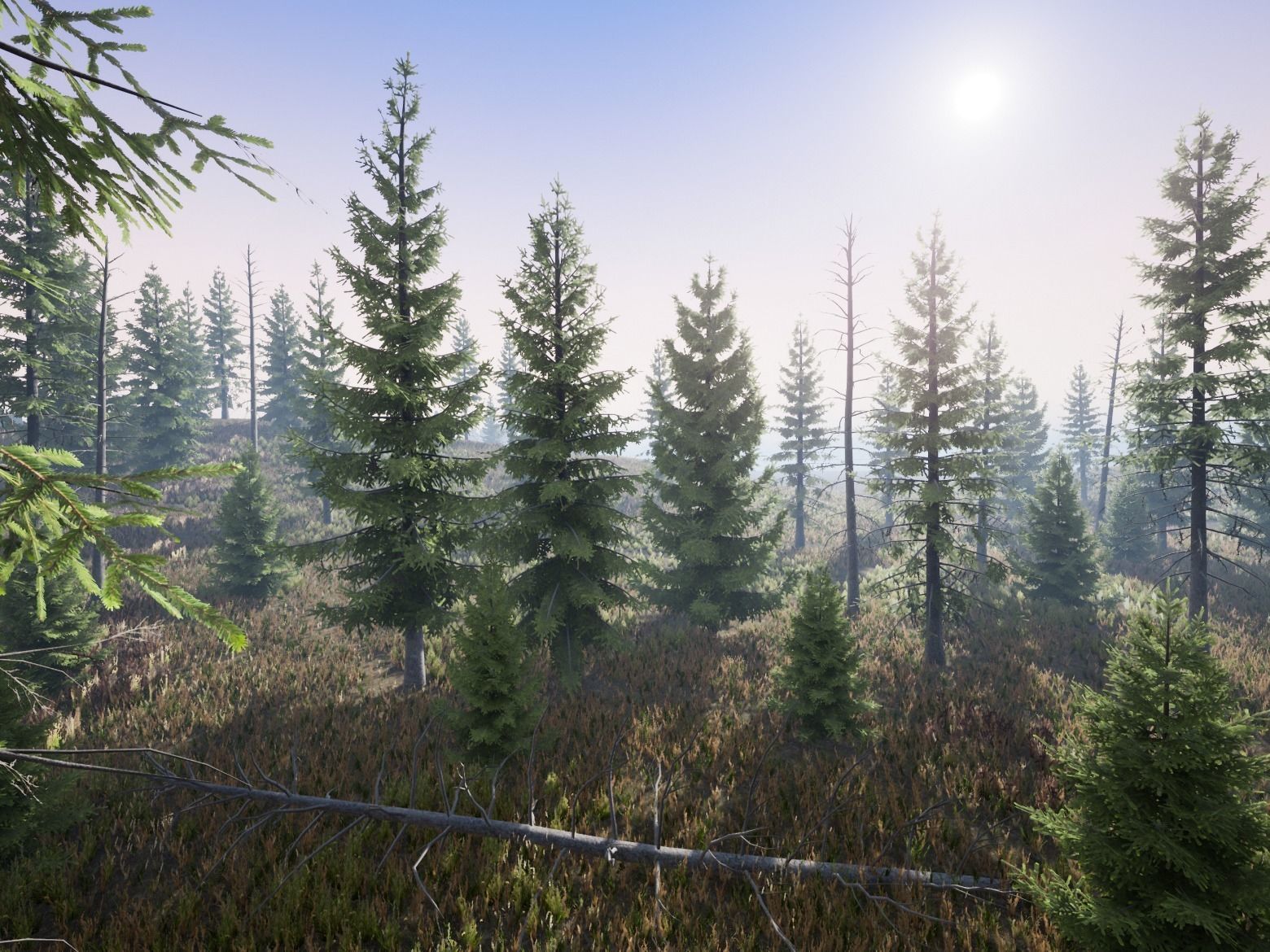 3D model Realistic Spruce Fir Trees for games VR / AR / low-poly ...