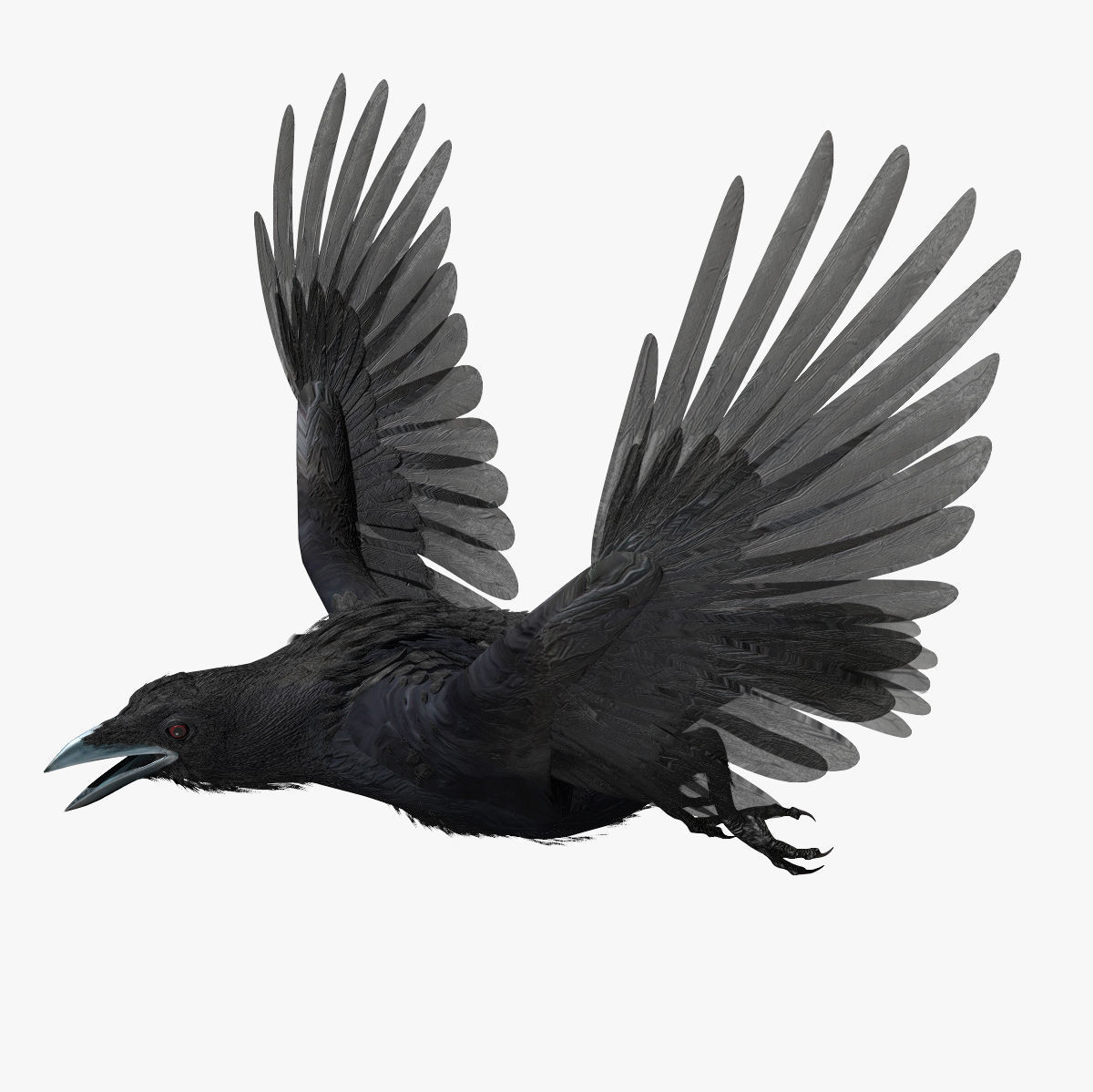 Crow - rigged - animated - Standard - PBR - VRAY Low-poly 3D model ...