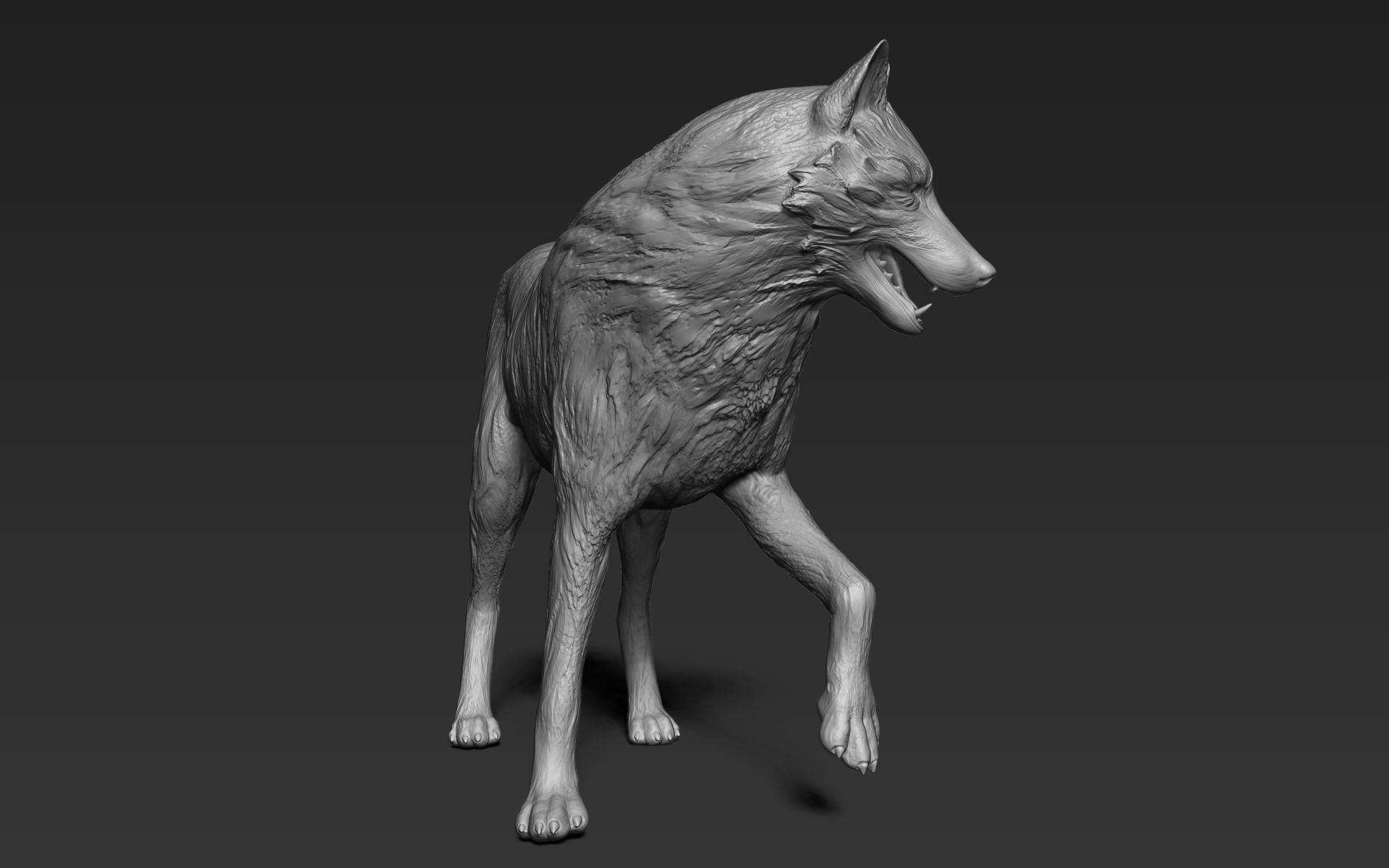 Wolf Sculpt 3D model | CGTrader