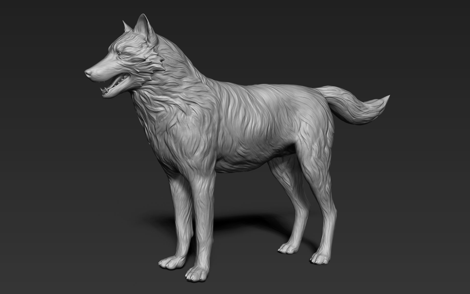 Wolf Sculpt 3D model | CGTrader