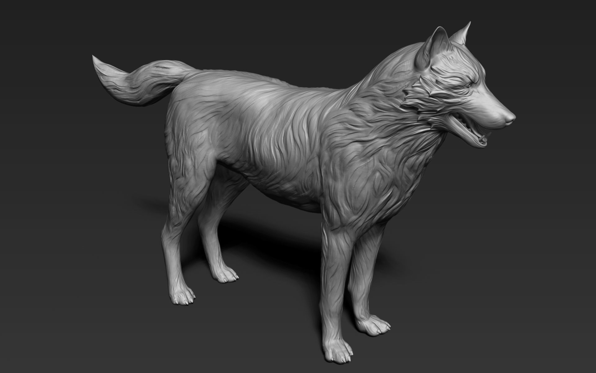 Wolf Sculpt 3D model | CGTrader