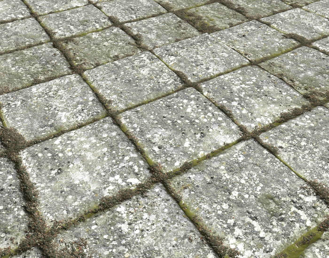 Old stone floor plates seamless PBR 1 Texture | CGTrader