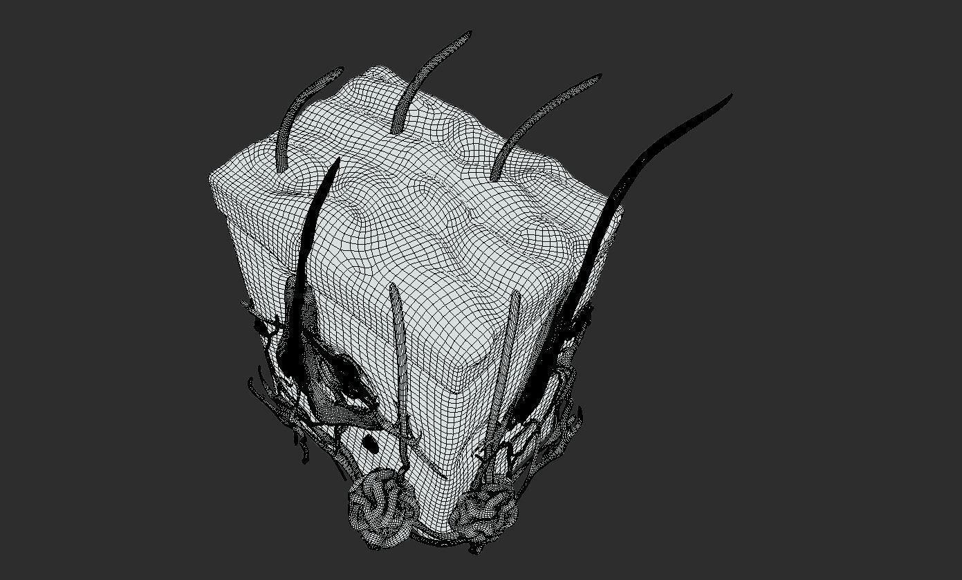 3D model Human Skin Integumentary system VR / AR / low-poly | CGTrader