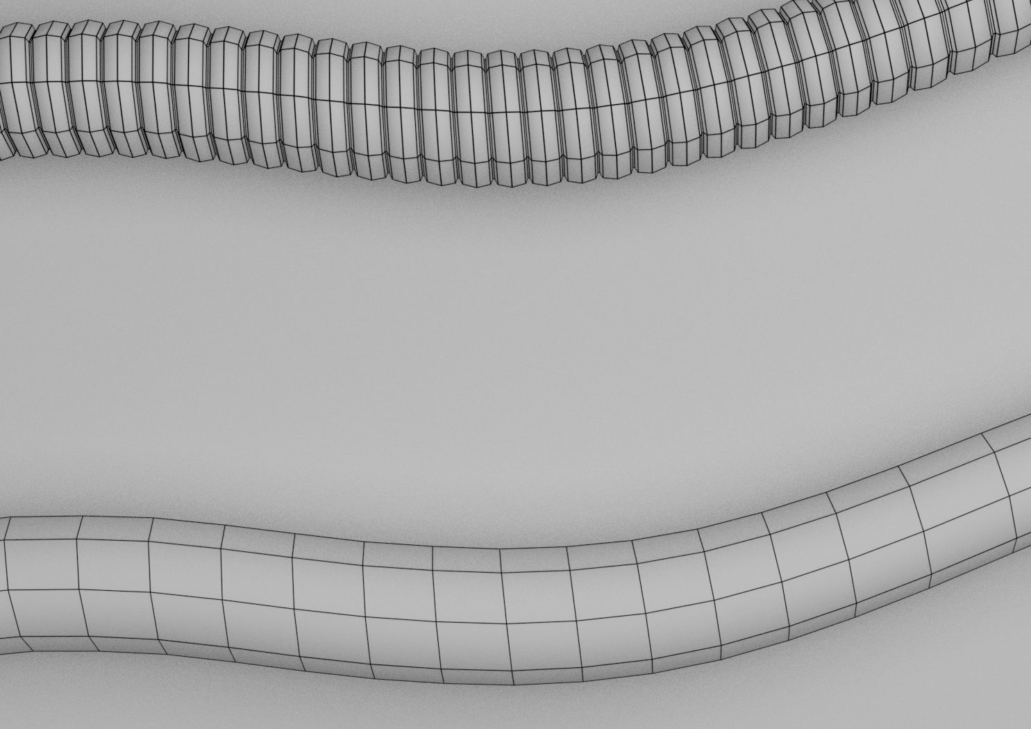 Worm - lombric free VR / AR / low-poly 3D model rigged | CGTrader