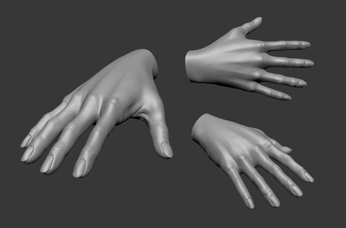 Female Hand 3D model | CGTrader