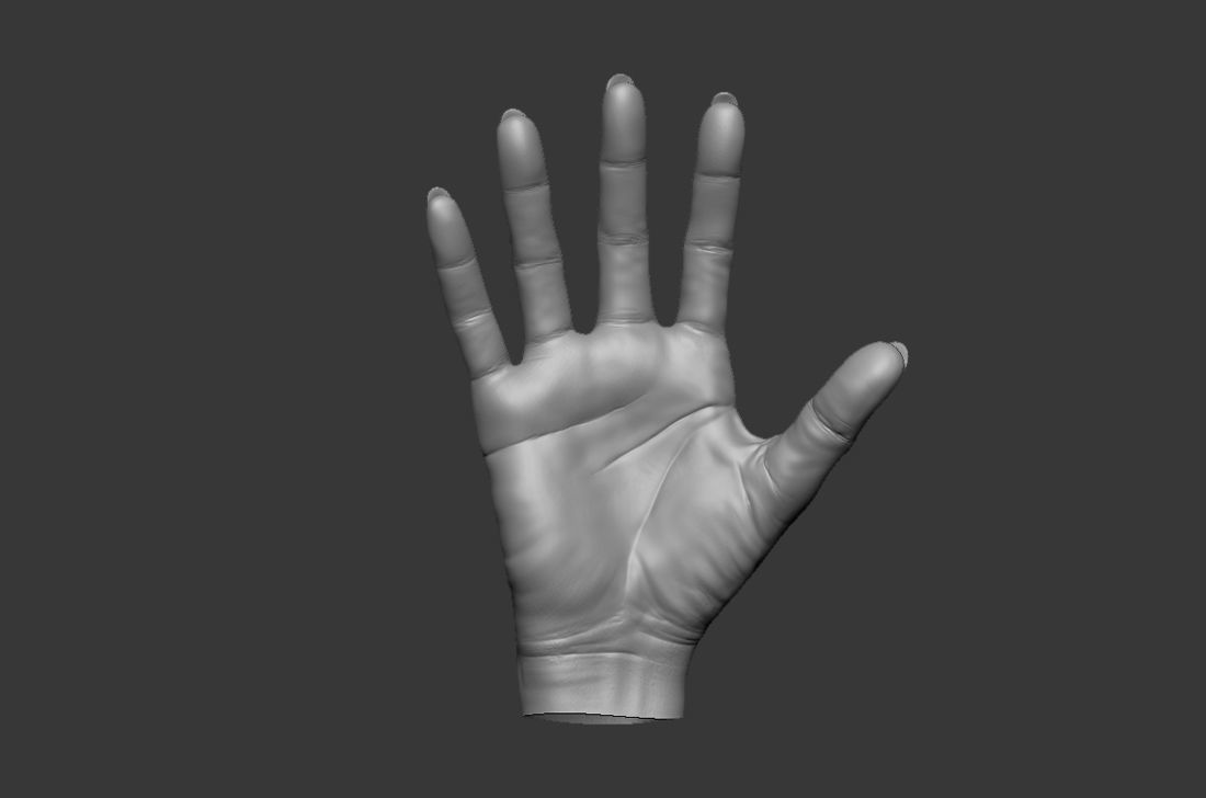 Female Hand 3D model | CGTrader
